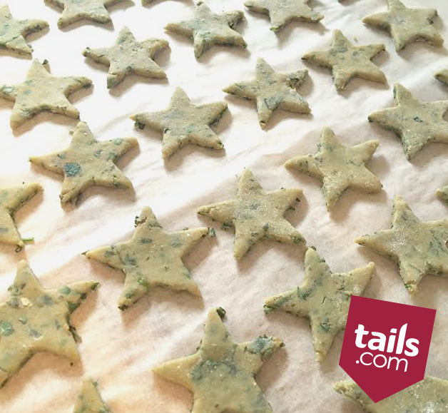 Recipe: Bandit’s Minty Fresh Biscuits - Tails.com Blog