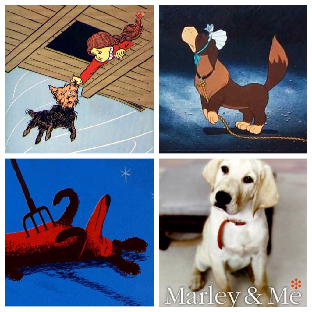 10 of the best dogs from literature - Tails.com Blog