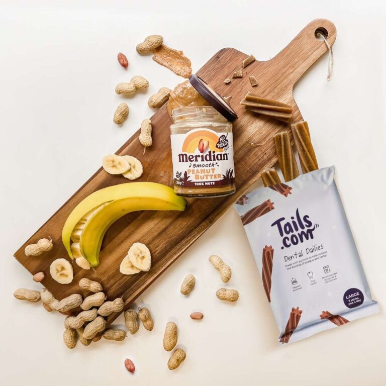 Dog-friendly recipes - Treats and more - Recipes - tails.com