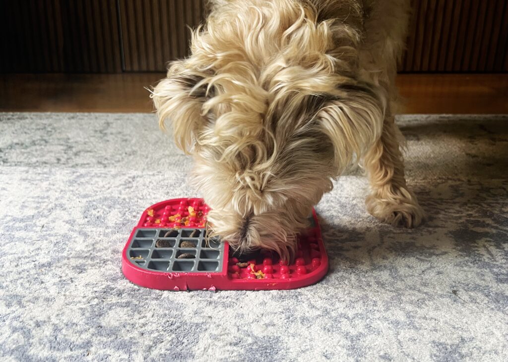 Burns Night Neeps and Tatties - for dogs! - Tails.com Blog