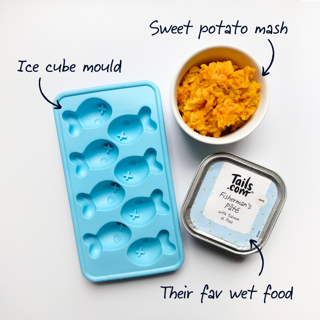 Fetch of the Day: seaside snacks for your dog - tails.com